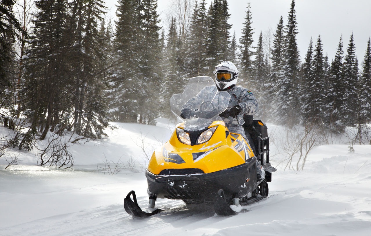 Обзор снегоходов: комфорт, скорость и надежность в зимних путешествиях - trinosoft.com